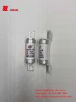 China EV RS308 Fuse Mechanical Shock 25A 30A 40A 50A  Ceramic Copper Rated Voltage DC750V  Home Ev Charger For Electric Car for sale