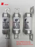 China EV RS308 Fuse Mechanical Shock 25A 30A 40A 50A  Ceramic Copper Rated Voltage DC750V  Home Ev Charger For Electric Car for sale