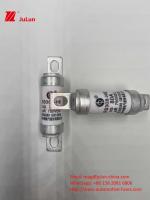 China Power Conversion 63A 15A 30A 25A 100A 50A EV FUSEDC750V Rated Voltage Electric Vehicle Bolted Fuse for sale