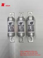 China Power Conversion 63A 15A 30A 25A 100A 50A EV FUSEDC750V Rated Voltage Electric Vehicle Bolted Fuse for sale