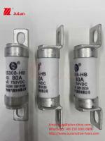 China Power Conversion 63A 15A 30A 25A 100A 50A EV FUSEDC750V Rated Voltage Electric Vehicle Bolted Fuse for sale