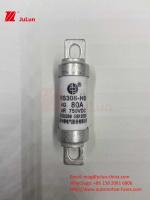 China Electric Vehicle Fuse For Traction System Energy Storage And  Olted 750VDC 25A 30A 40A 50A  For RS308 HB EV for sale