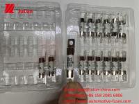China Electric Vehicle  FUSE Environment Reliability Conform To ISO8820, JASO D622 And GB/T31465 30A 40A 50A 80A 750VDC for sale