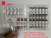 China 63A RS308 HB Fuse Bolted Mounting 80A 10A 15A 40A  Automotive Ceramic Fuses With Bolt Mounting for sale