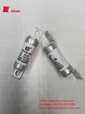 China Ceramic EV Fuses  750VDC For Safe Chargingautomobile Application 63A25A 15A 30A 750VDC RS308 FUSE for sale