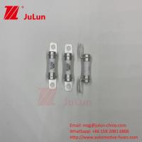 China Electric vehicle Excellent DC Performance 30A 20A 500VDC Fuse for sale