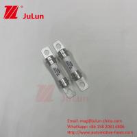 China Electric Vehicle Fuse 500VDC Reliability Performance Design Refer To ISO8820-8&GB/T31465.6 for sale