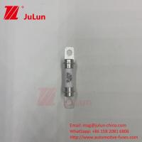 China Electric Vehicle Fuse 500VDC Reliability Performance Design Refer To ISO8820-8&GB/T31465.6 for sale