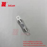 China 500VDC 20A 30A 40A 50A Pure Electric Vehicle Hybrid Car Fuse for sale