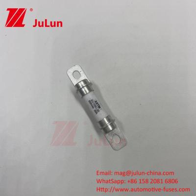 China 500VDC 20A 30A 40A 50A Pure Electric Vehicle Hybrid Car Fuse for sale