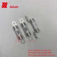 China 500VDC 20A 30A 40A 50A Pure Electric Vehicle Hybrid Car Fuse for sale