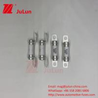 China 500VDC 20A 30A 40A 50A Pure Electric Vehicle Hybrid Car Fuse for sale