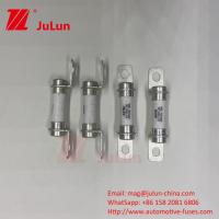 China 50A 30A 500DV Excellent DC Breaking Capability Fuse 5A Truck EV Fuse for sale