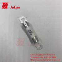 China 5A 10A 30A 50A 30A 500DV Pure Electric Vehicle Force System Hybrid Vehicle Fuse for sale