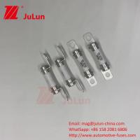 China 5A 10A 30A 50A 30A 500DV Pure Electric Vehicle Force System Hybrid Vehicle Fuse for sale