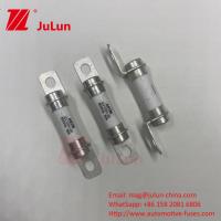 China Hybrid Car Fuse 20A 30A 40A Energy Storage System Electric Drive for sale