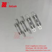 China Hybrid Car Fuse 20A 30A 40A Energy Storage System Electric Drive for sale