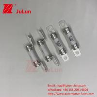 China Pure Electric Vehicle 5A 10A 15A 20A 30A Force System Hybrid Electric Vehicle Fuse 500VDC for sale
