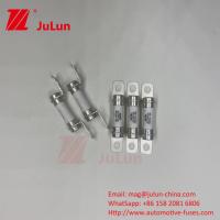 China 50A 40A 30A Pure Electric Vehicle Fuse Electric Vehicle Power Conversion System With Bolted M6 for sale
