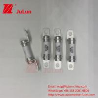 China M6 Bolt Type Power Distribution Fuse For The Reliability Performance Of The 40A 50A Fuse Of The Battery Energy Storage S for sale
