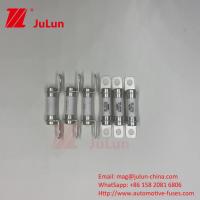 China Excellent DC Breaking Capability For Hybrid Vehicles And Battery Energy Storage Systems Fuse 15A 20A 30A for sale
