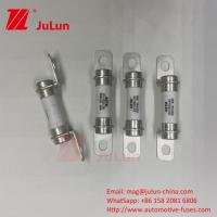 China Excellent DC Breaking Capability For Hybrid Vehicles And Battery Energy Storage Systems Fuse 15A 20A 30A for sale