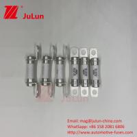China Automobile Application Electric Vehicle Fuse Hybrid Car 15A 500VDC Superior DC Breaking Capability Fuse for sale