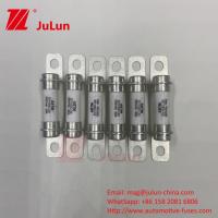 China Automobile Application Electric Vehicle Fuse Hybrid Car 15A 500VDC Superior DC Breaking Capability Fuse for sale