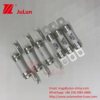 China Battery Energy Storage System Fuse Fuse DC 30A 50A Pure Electric Vehicle 500VDC for sale
