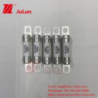 China M6 Bolt  Home Ev Charger 30A 40A Bolt M6 Automotive High Quality 5A 500VDC Fuse for sale