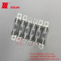 China Electric Electric Vehicle 30A 15A Ceramic Tube High Break Safety Protection Fuse Electric Vehicle 500VDC for sale