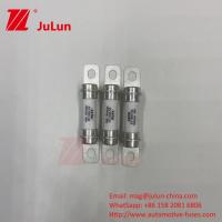 China Electric Electric Vehicle 30A 15A Ceramic Tube High Break Safety Protection Fuse Electric Vehicle 500VDC for sale