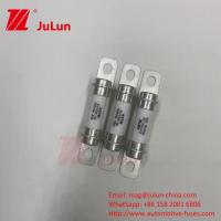 China 30A 20A Ceramic Tube M6 Bolt Type 15A Electric Vehicle Fuse Electric Vehicle 500VDC ESS Ceramic Fuse for sale
