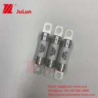 China Power Conversion System Power System Energy Storage System 500VDC High Score Break 10A 20A 30A Fuse Electric Vehicle Fus for sale