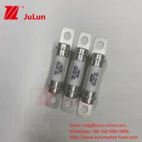 China EV Fuse Standard UL248-10A 20A 50A 40A Fuse Energy Storage System 500VDC High Break for sale