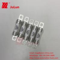 China EV Fuse Standard UL248-10A 20A 50A 40A Fuse Energy Storage System 500VDC High Break for sale