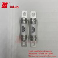 China Battery Energy Storage System Fuse Fuse DC 30A 50A Pure Electric Vehicle 500VDC for sale