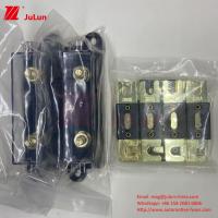 China ANL Bolt Type Safety Large Fork Bolt Fuse Car Bolt Safety Gold Silver for sale