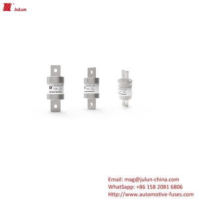 China Medium Bolt On Electric Vehicle Fuse Fast Charging  / Ev Dc Fast Charger 500V DC for sale