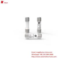 China 60A Electric Vehicle Fuse 500V Rated Voltage GB / T31465 for sale