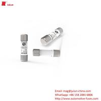 China EV315-C-3E  500V DC Automotive EV Fuse / Round Tube Bolted Type Fuse for sale