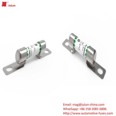 China EV321-3EL 30A  Electric Vehicle Fuse with OEM Logo Protection and Performance in Boxed Packing Method for sale