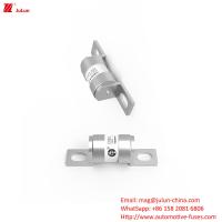 China Electric Fuse for New Energy Vehicle 16A  20A 25A 32A 35A  40A 50A 63A  180A 250V 30KA OEM Logo for sale