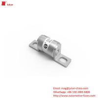 China Electric Fuse for New Energy Vehicle 16A  20A 25A 32A 35A  40A 50A 63A  180A 250V 30KA OEM Logo for sale