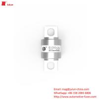 China Electric Vehicle Fast Charging Fuses Rated To 250V 30KA EV323-2GL for sale