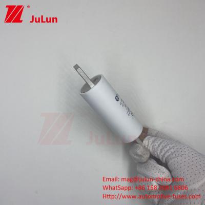 China RS309-MM-EV200A Customizable EV Bolt Screw Fuse for Electric Vehicles 1000VDC 1000VAC for sale