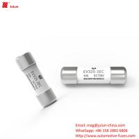 China EV Protection 40A Electric Car Special Vehicle Fuse for sale