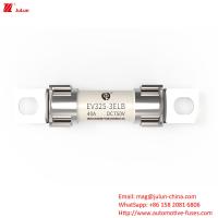 China Small Tubular Automotive Fuse For Road Vehicle And Electric Car for sale