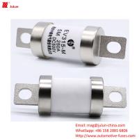 China Automotive EV Fuse For Electric Vehicle Charger Adapter 100-400A  DC500V for sale