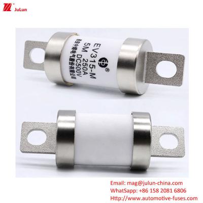 China Automotive EV Fuse For Electric Vehicle Charger Adapter 100-400A  DC500V for sale